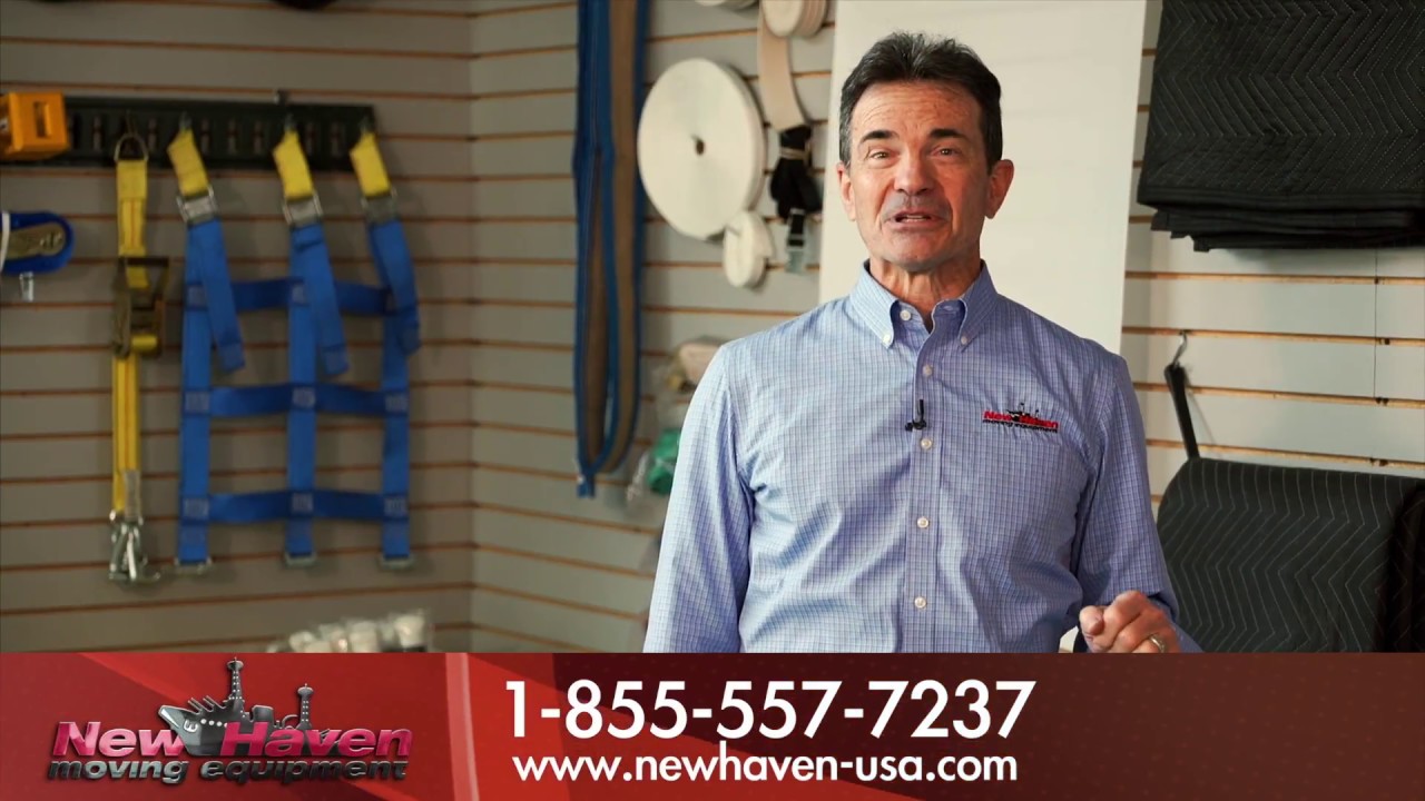 The New Haven Companies USA | Careers